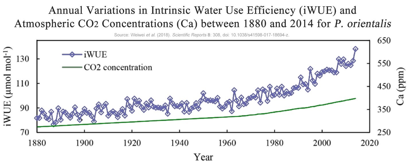 Co2 Enrichment Improves Plant Water Use Efficiency Master Resource