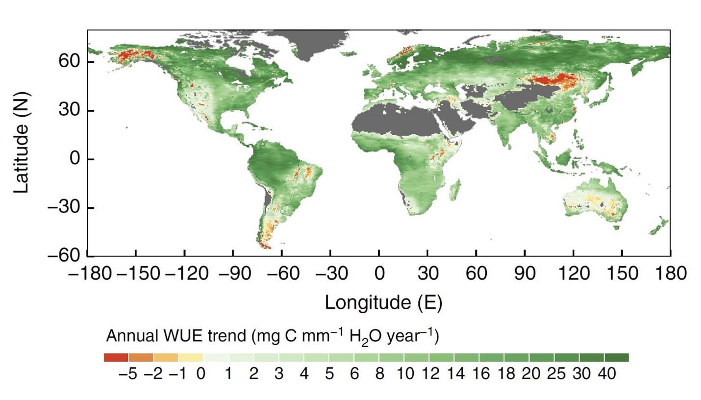 Co2 Enrichment Improves Plant Water Use Efficiency Master Resource